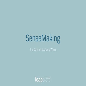 SenseMaking in the Comfort Economy | PPT