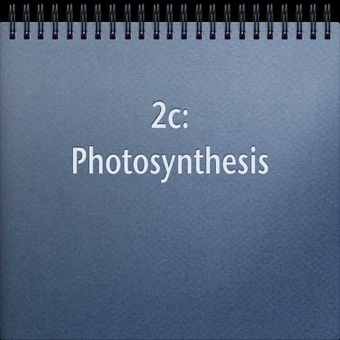 2c; photosynthesis | PPT