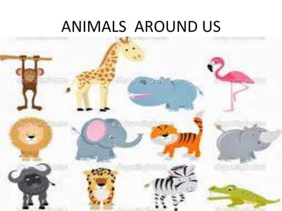 Animals | PPTX