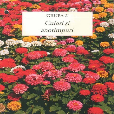 2 culori si anotimpuri | PDF