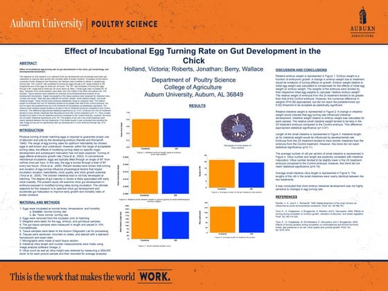 calculation of haugh unit of egg | DOC | Nutrition | Healthy Living