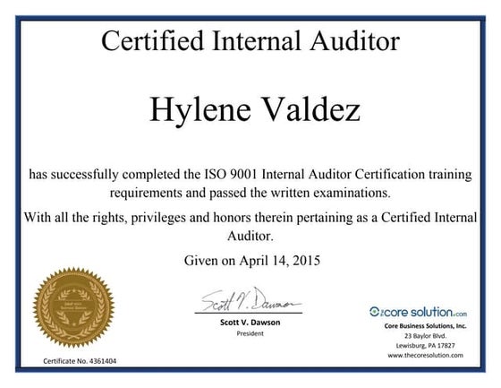 SAI Internal Auditor Certificate | PDF