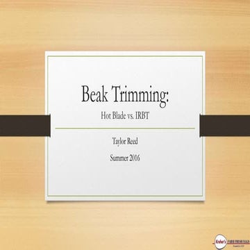 Beak Trimming | PPTX