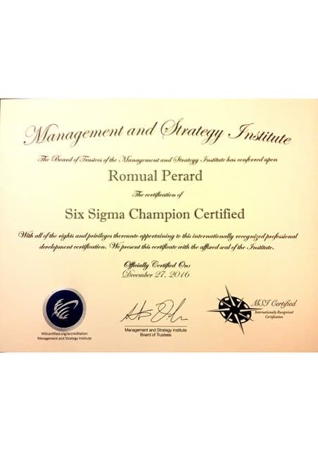 Six Sigma Champion Certified | PDF
