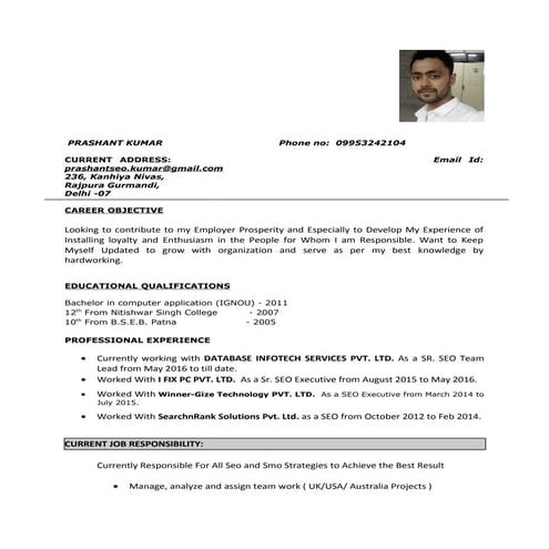 Prashant updated cv (1) | DOC | Search | Internet