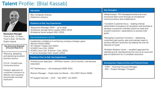 Individual Talent Profile Template | PDF | Business | Business and Finance