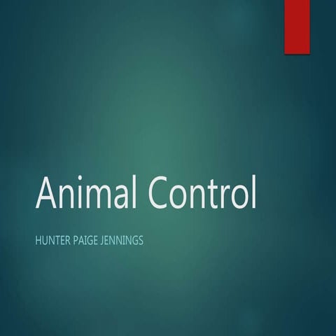 Animal Control | PPTX
