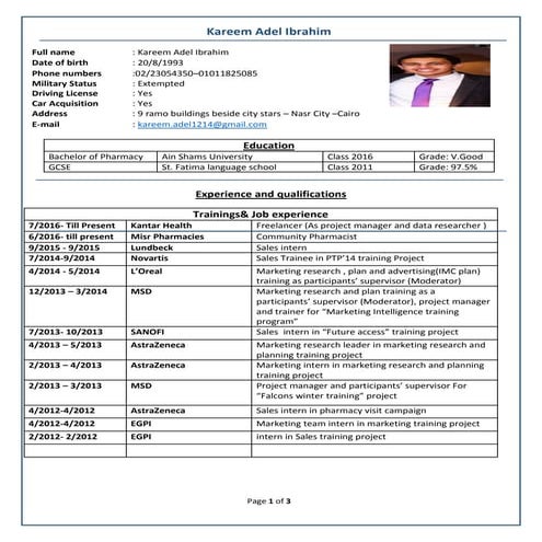CV Amera Gamal | PDF