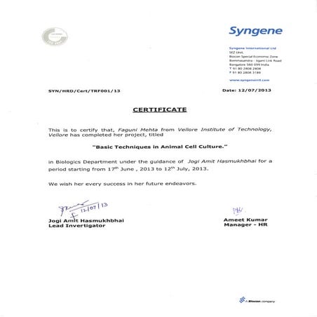 Industrial Internship | PDF