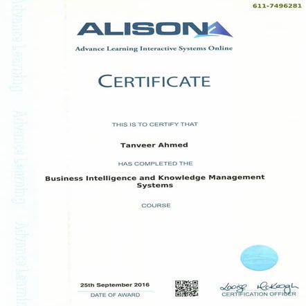 ALISON Business Intelligence | PDF
