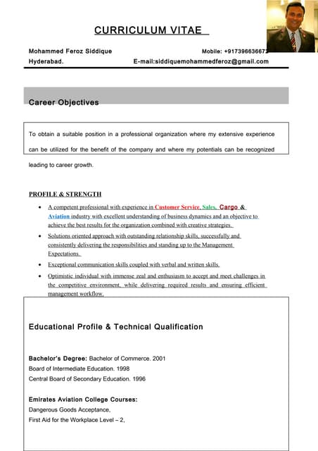 Vincent cv | PDF | Air Travel | Travel Type