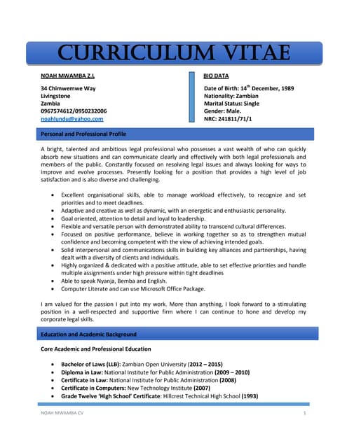CURRICULUM VITAE updated | DOC