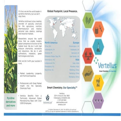 Vertellus Brochure | PPT