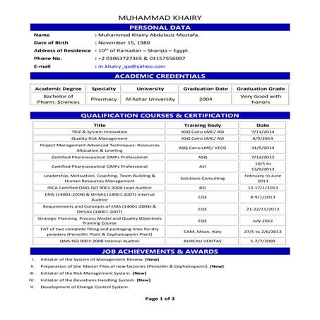 Brief CV - 1 - Copy | PDF