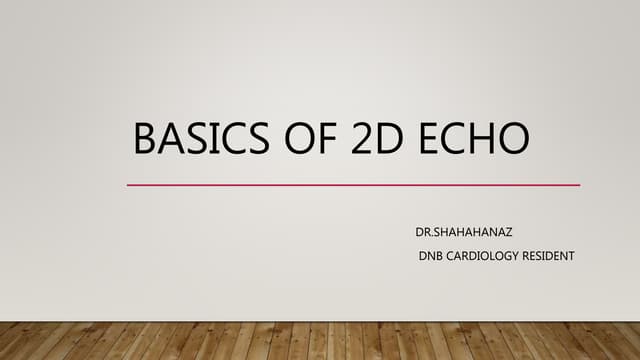 ECHO WINDOWS AND VIEWS.pptx