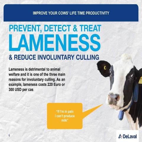 Lameness in dairy cows | PPTX