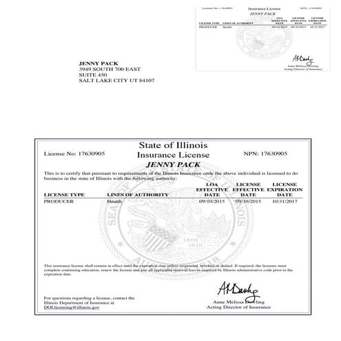 Illinois License | PDF | Business and Finance