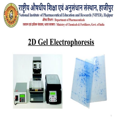 2 Dimensional Gel Electrophoresis (2-DE) | PPT