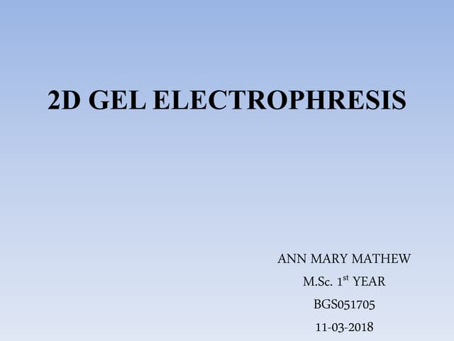 Isotachophoresis & ief(iso electric focusing | PPTX | Chemistry | Science