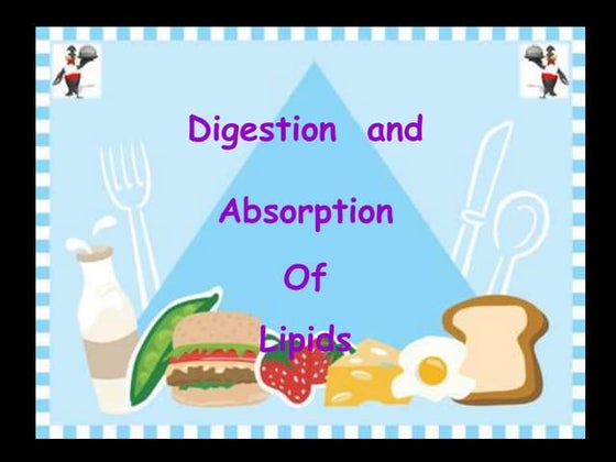 Digestion and Absorption of carbohydrates | PPSX | Digestive Disorders ...