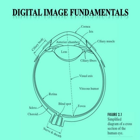 2 digital image fundamentals | PPT