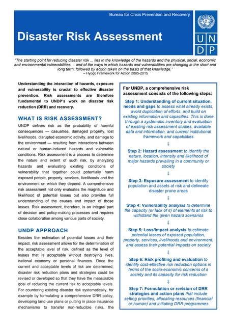 DRRRawr-Laws-and-Policies.pptx | Environment | Science
