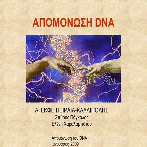 απομόνωση DNA από φύτρο σιταριού | PPT