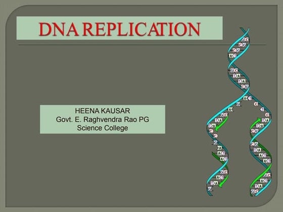 DNA replication | PPT
