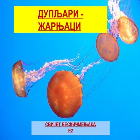 E 2 Dupljari (Žarnjaci) | PPT