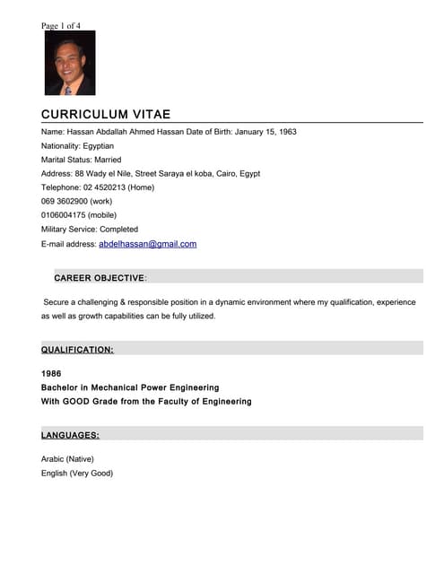 wael cv - Copy | DOC