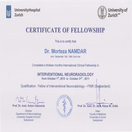 fellowship | PDF