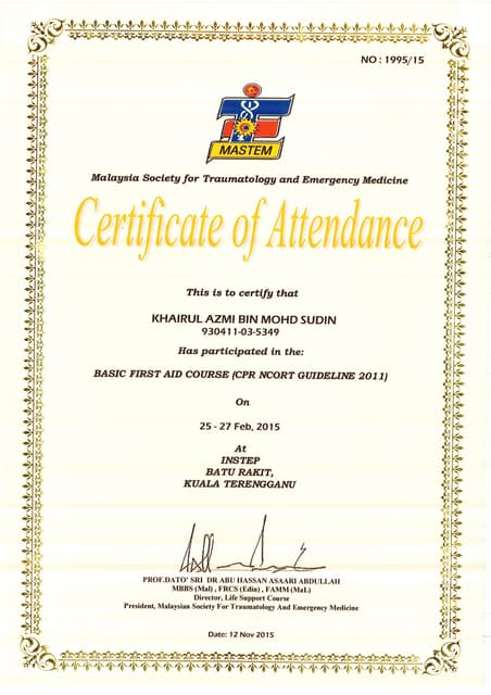 CERTIFICATE AFTER SCHOOL AND COCURICULUM | PDF
