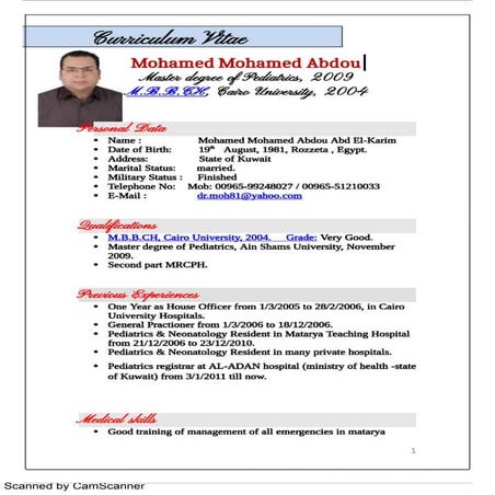 My CV | PDF