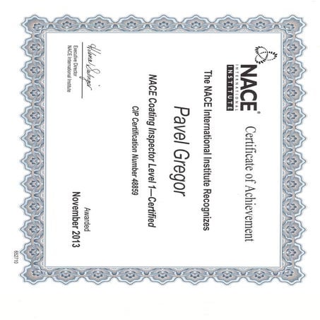 Nace certificate - Level 1 | PDF
