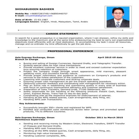 Robin_CV 150311 | PDF