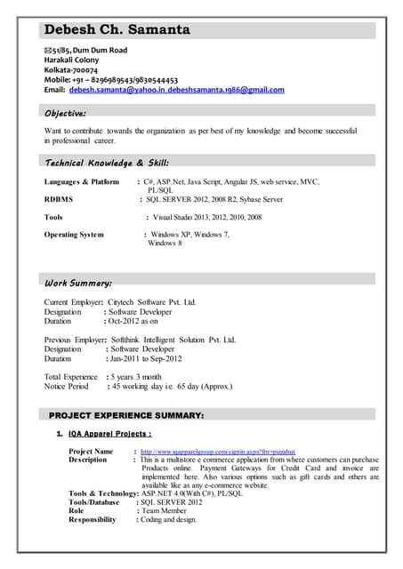RamResumeDotNet Developer | PDF