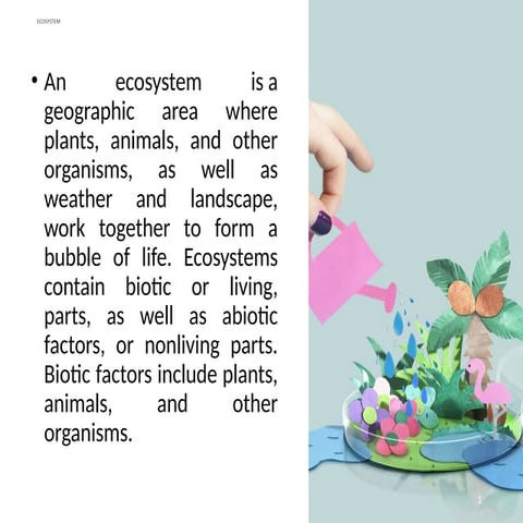 Ecosystem PPT | Detailed Notes | Impacts | PPTX