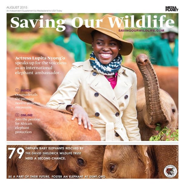 Presentation on nature and wildlife conservation | PPTX