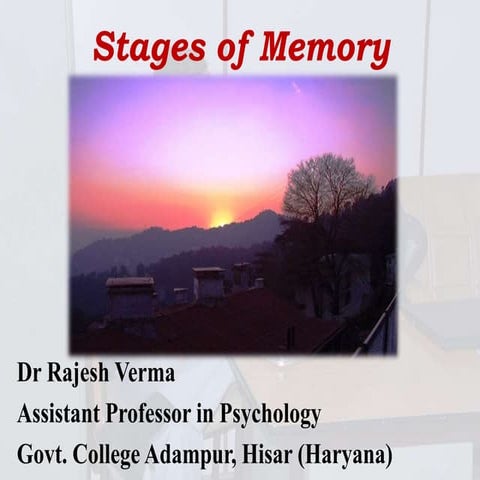 Stages of memory formation | PPSX