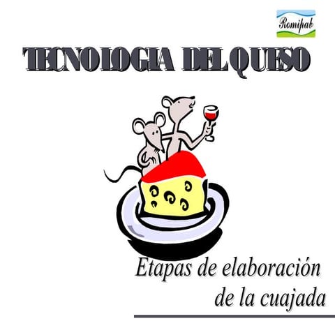2) etapas de elaboración quesos | PPT