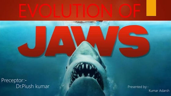 Jaw suspension in different Vertebrates | PDF