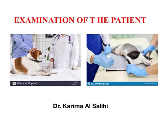 Clinical examination of animals | DOC | Veterinary Medicine | Pets