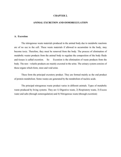 Insect Excretory System | PPTX