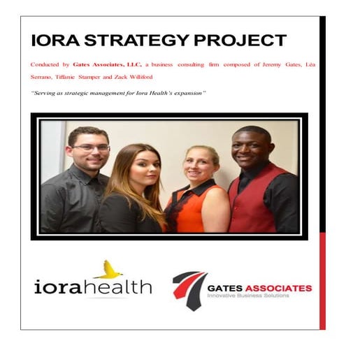 Iora Strategy Project Final version (3) | PDF