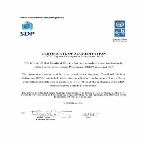 UN Accreditation | PDF