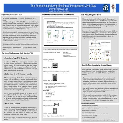 Introduction to Gene Cloning and DNA Analysis | PDF