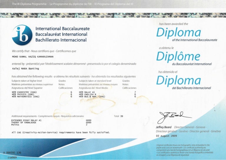 International Baccalaureate Diploma