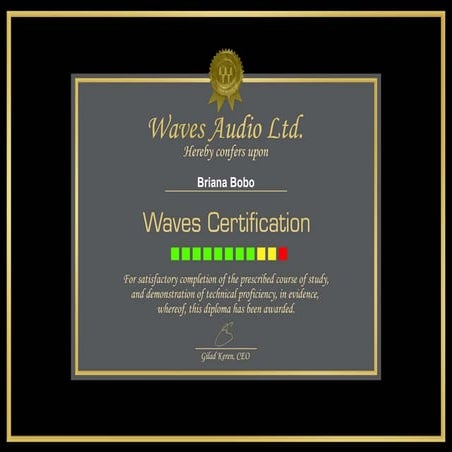 Waves Audio Certificate | PPT