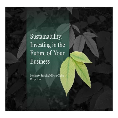 Sustainability a Global Perspective (4) | PDF