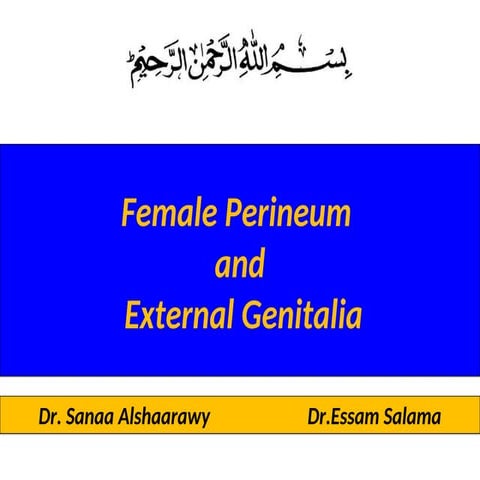 2) Female Perineum and External Genitalia.ppt